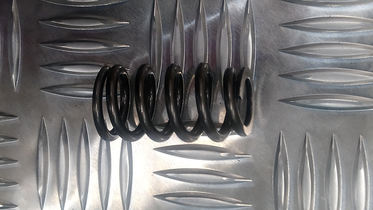 Mk1 Focus RS - Zetec Blacktop + ST170 AREA6 Up-rated Valve Spring Set ...